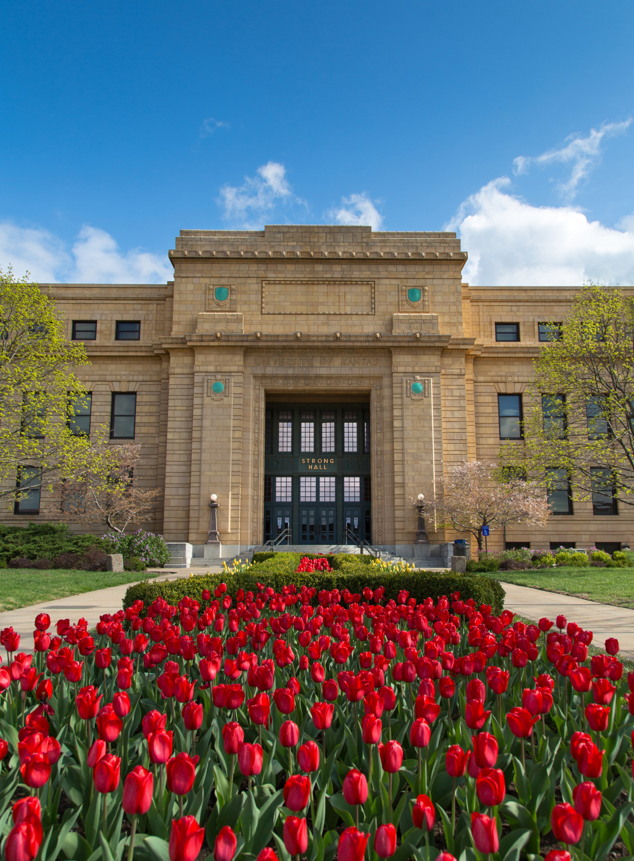 Contact Us | International Support Services